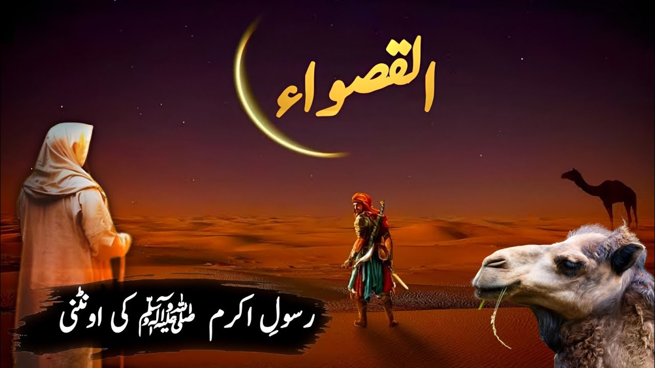 The camel of prophet Muhammad ﷺ | Al qaswa camel | Allah ka mojza ...