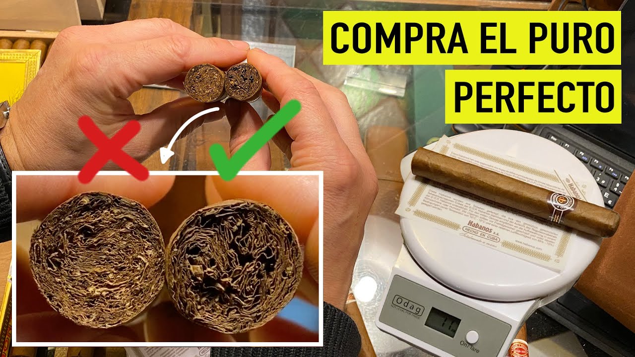 Cómo COMPRAR el PURO PERFECTO | GUÍA DEFINITIVA | Cigar Specialist ...