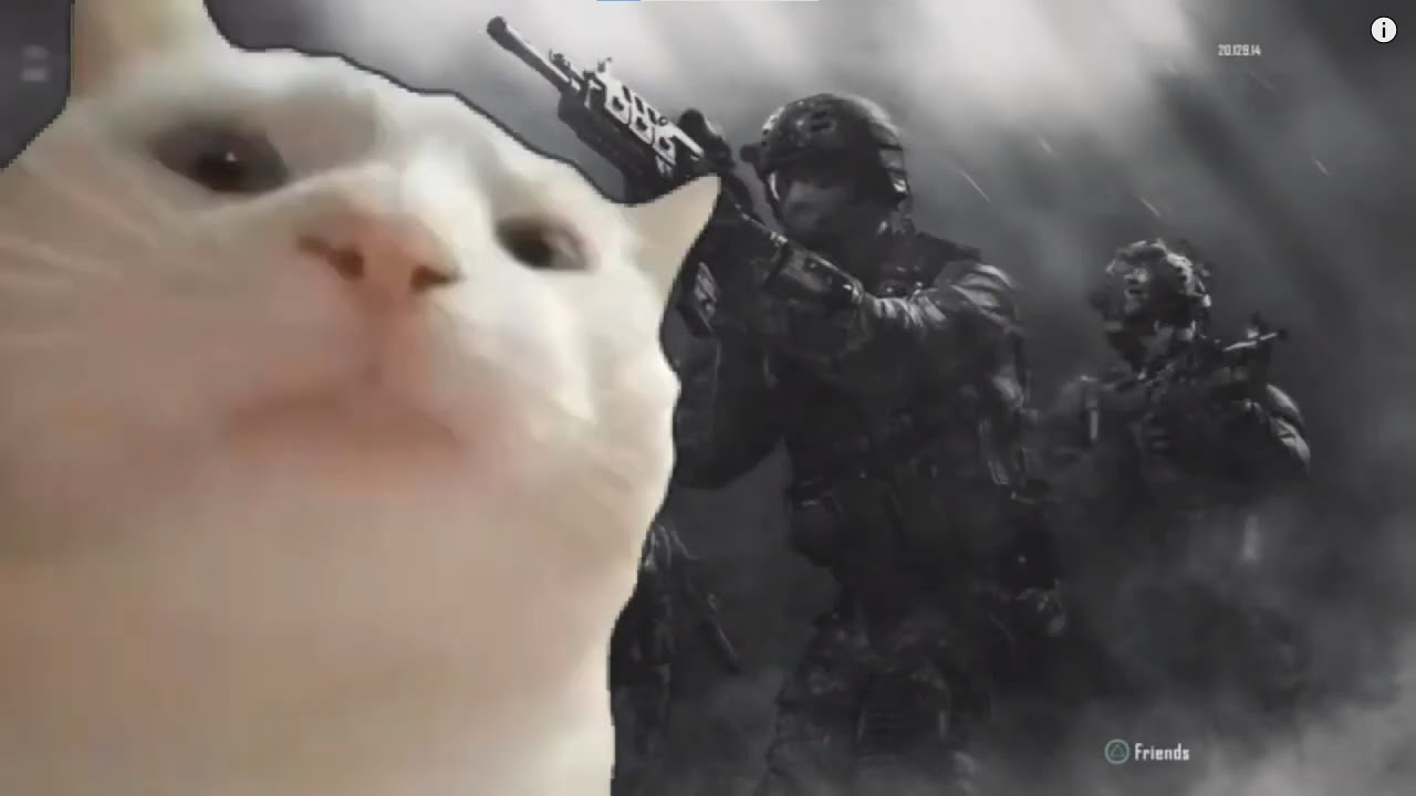 Cat Vibes to Call of Duty Black Ops 2 multiplayer menu - YouTube