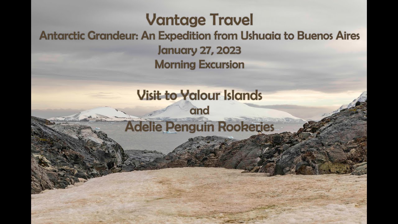 Vantage Travel - Antarctica - Yalour Islands Excursion - January 27 ...