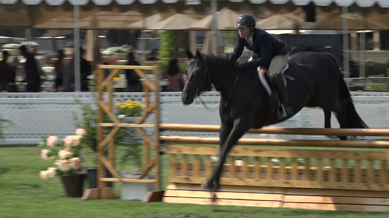 415 - Nicholas Haness - Saphir - YouTube