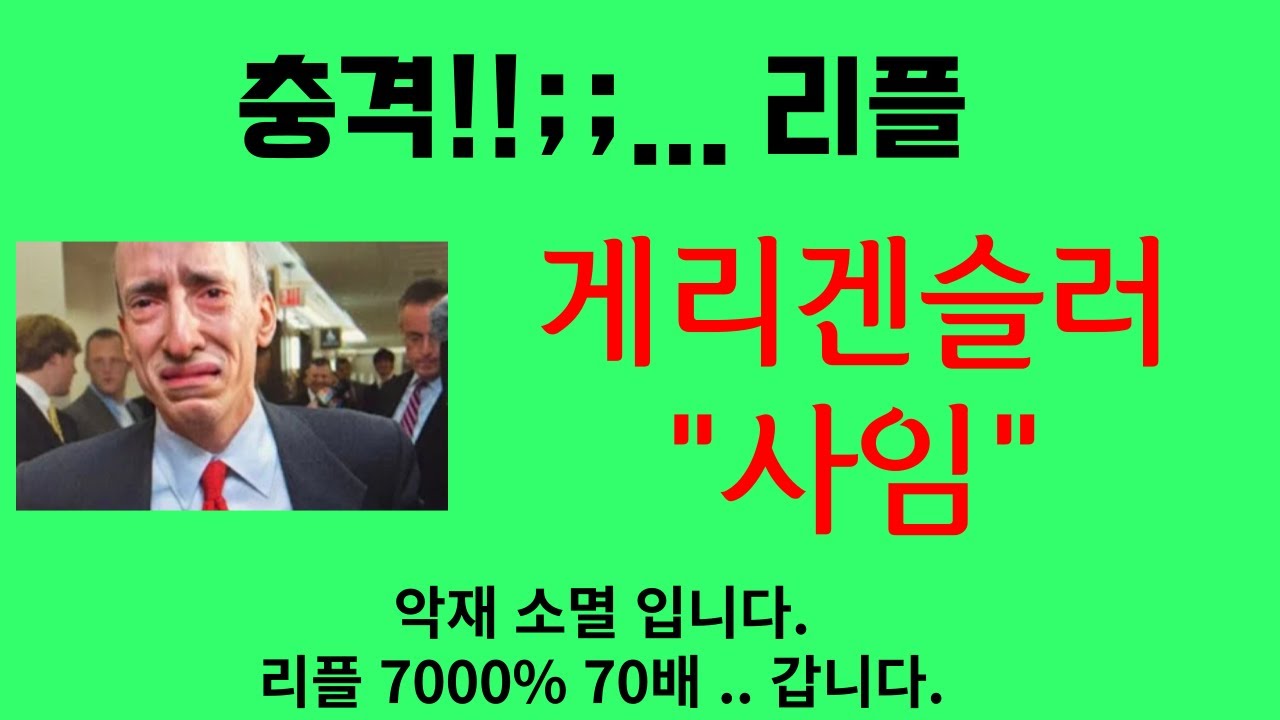 충격 리플 드디어 해냈다 승소 발표 게리겐슬러 사임 통과 미쳤네요ㅋㅋㅋㅋㅋㅋ 리플 리플승소 비트