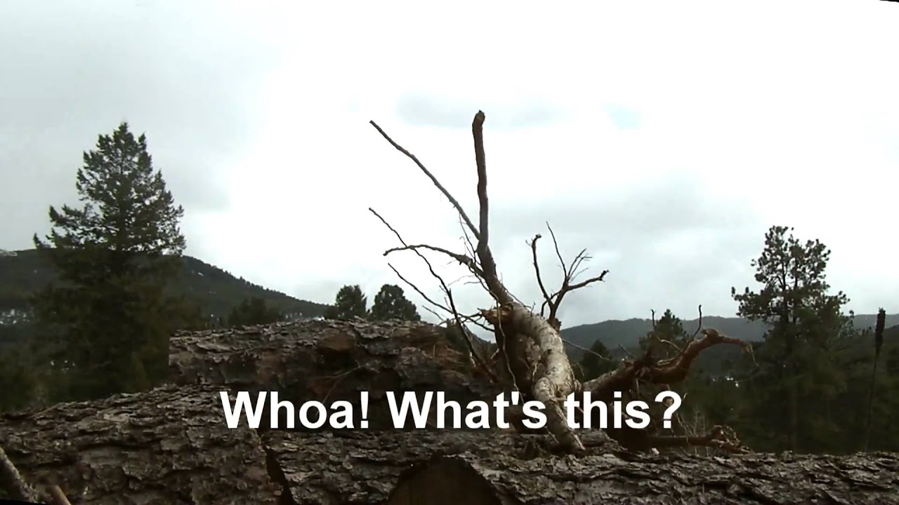 Climate change time lapse HD - YouTube
