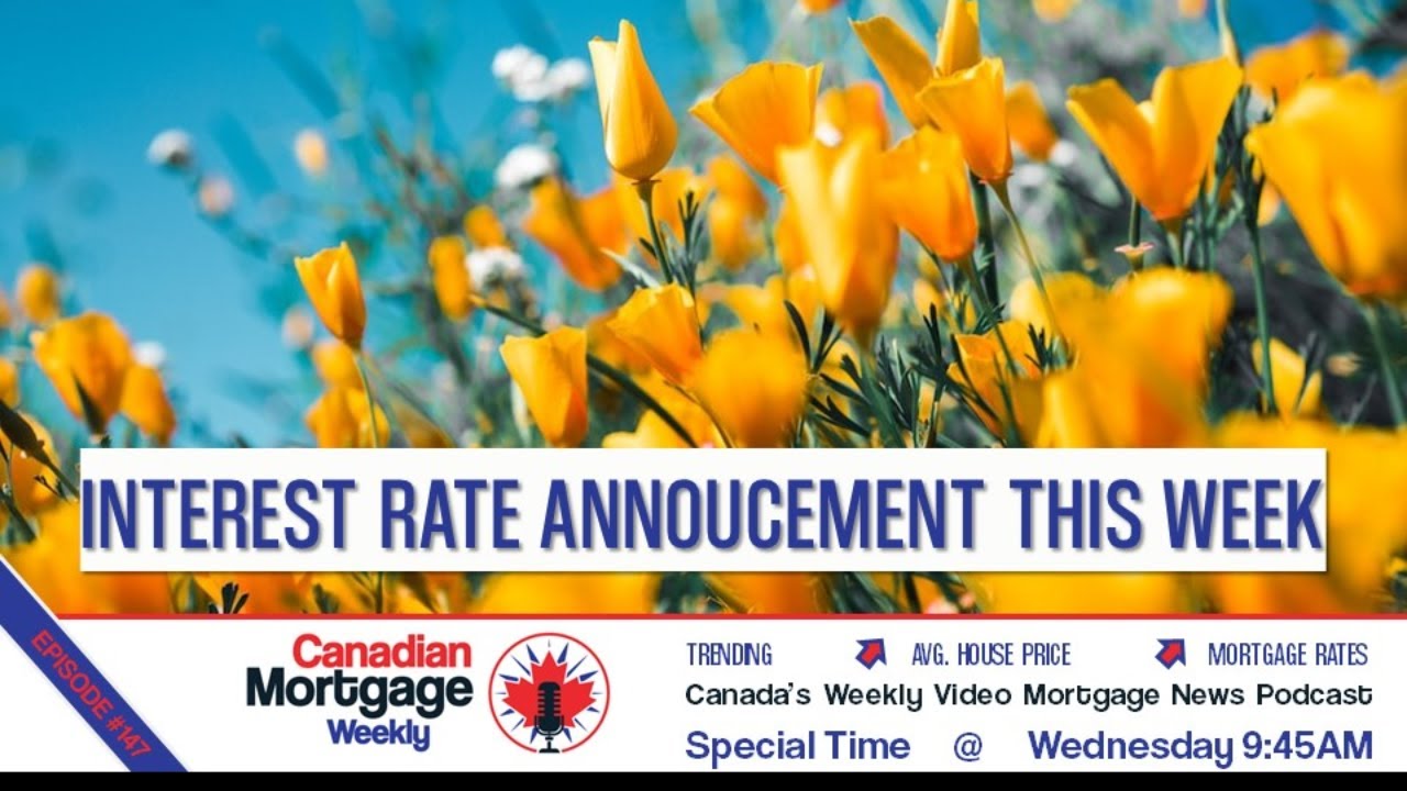 Live Bank of Canada Interest Rate Announcement - YouTube