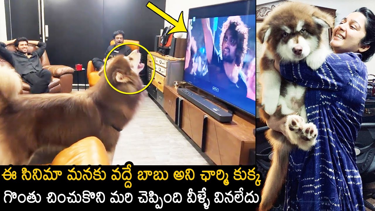 Charmme Kaur Dog UNEXPECTED Reaction Towards Liger Movie | Vijay ...