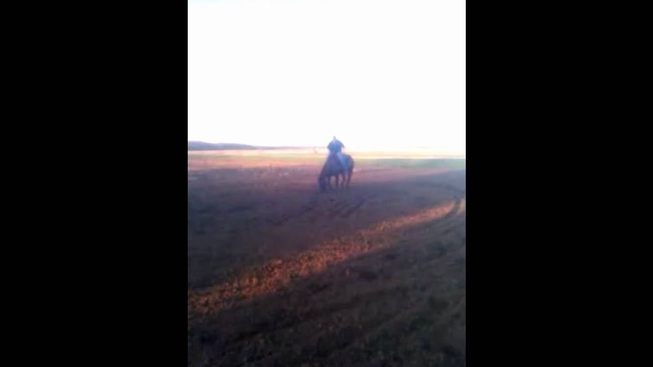 Joetta 4 yr old mare - YouTube
