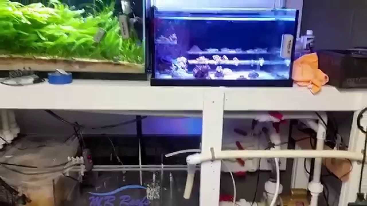 My piece of the reef- DIY Sump room for 300 plus gallon system - YouTube
