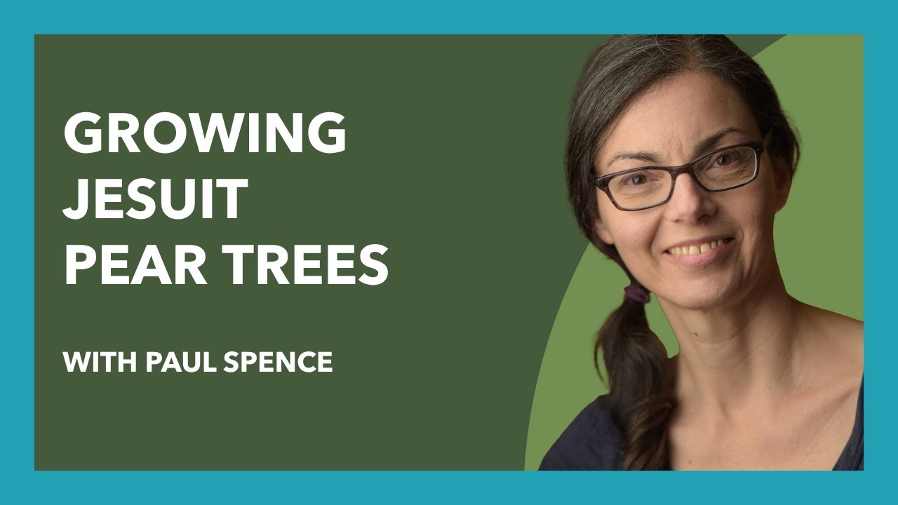 Jesuit Pear Tree History with Paul Spence (EPS #51) - YouTube