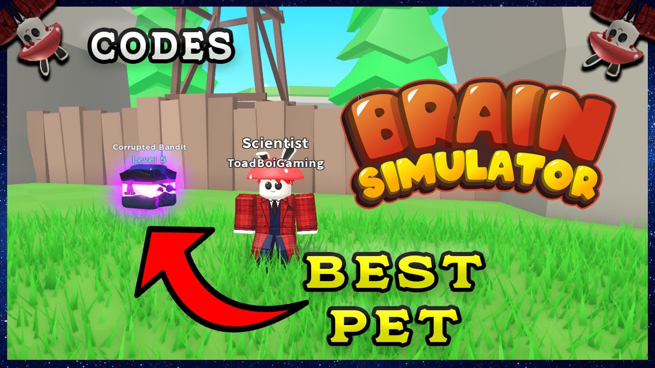Brain Simulator 🧠 I GOT THE BEST SECRET PET IN THE GAME (Roblox) Codes ...