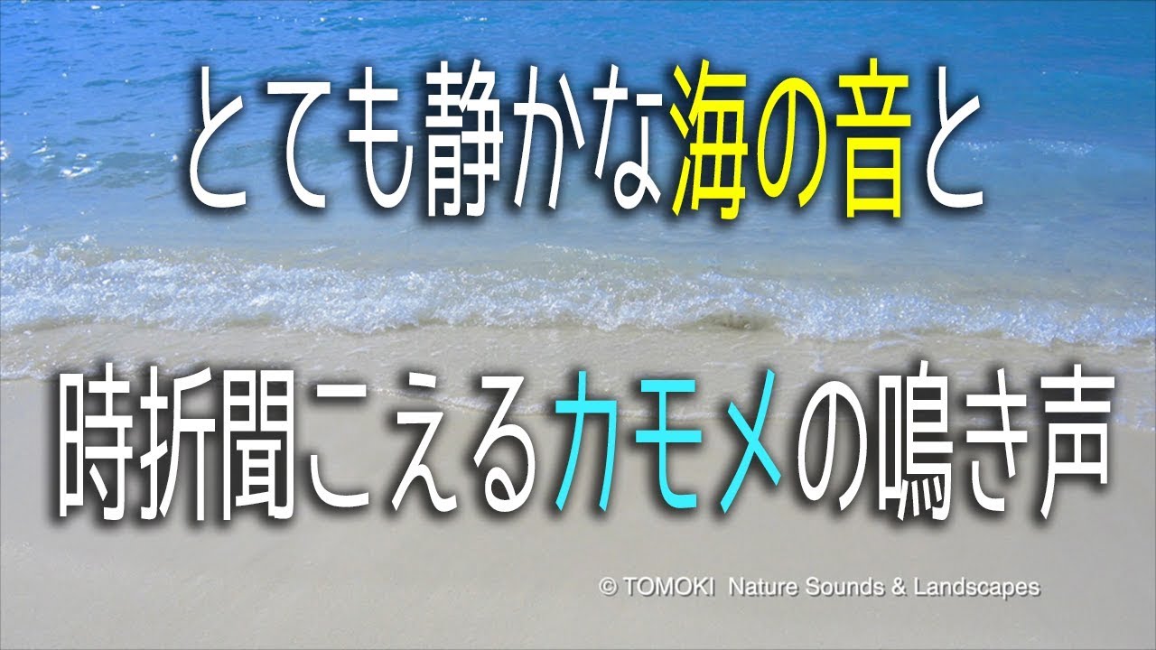 Meditation Nature Sounds Sea Wave And Seagulls Youtube