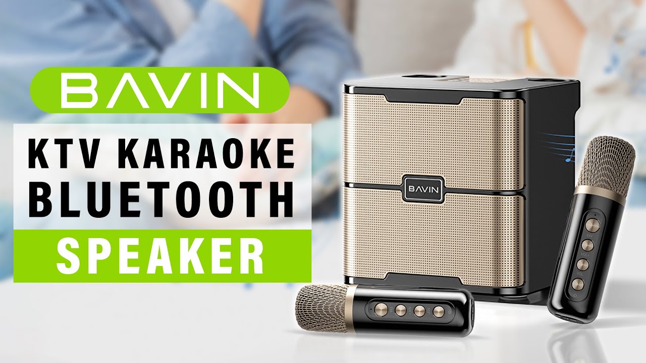 BAVIN BM22 Mini Amplifier Karaoke Bluetooth Wireless Speaker with Heavy ...