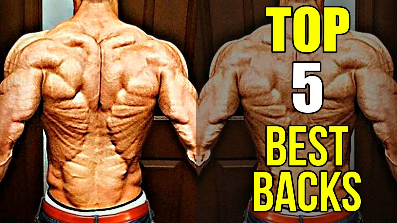 Top 5 Best Backs ever (Aesthetics Motivation) - YouTube