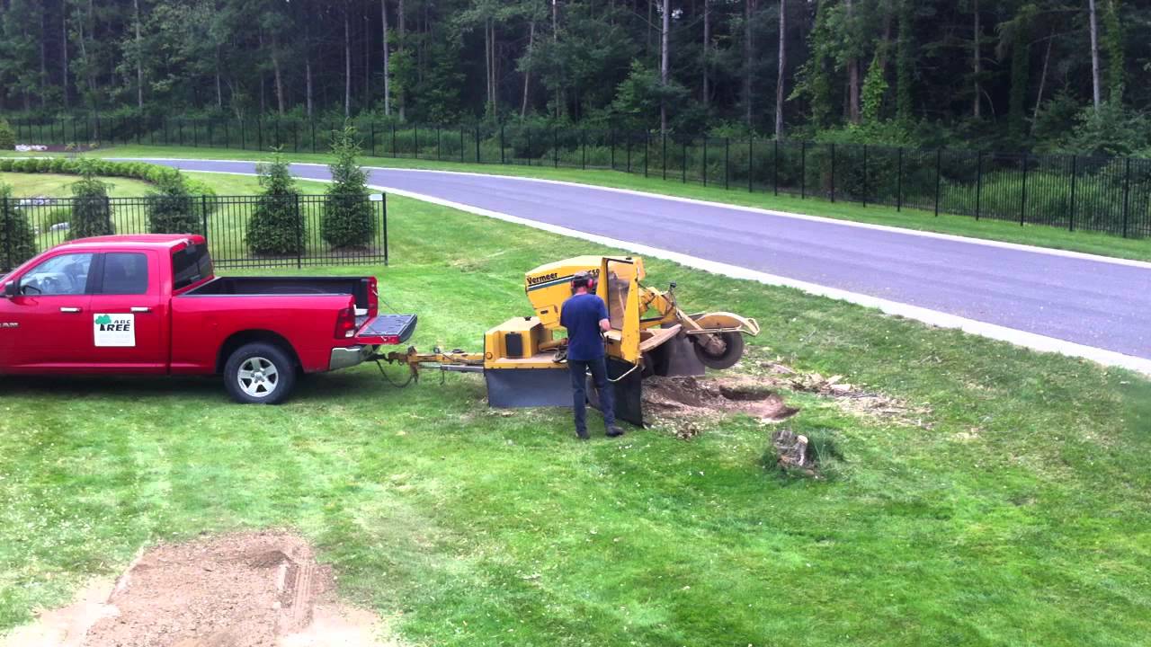 Professional Tree Stump Removal In Action - YouTube