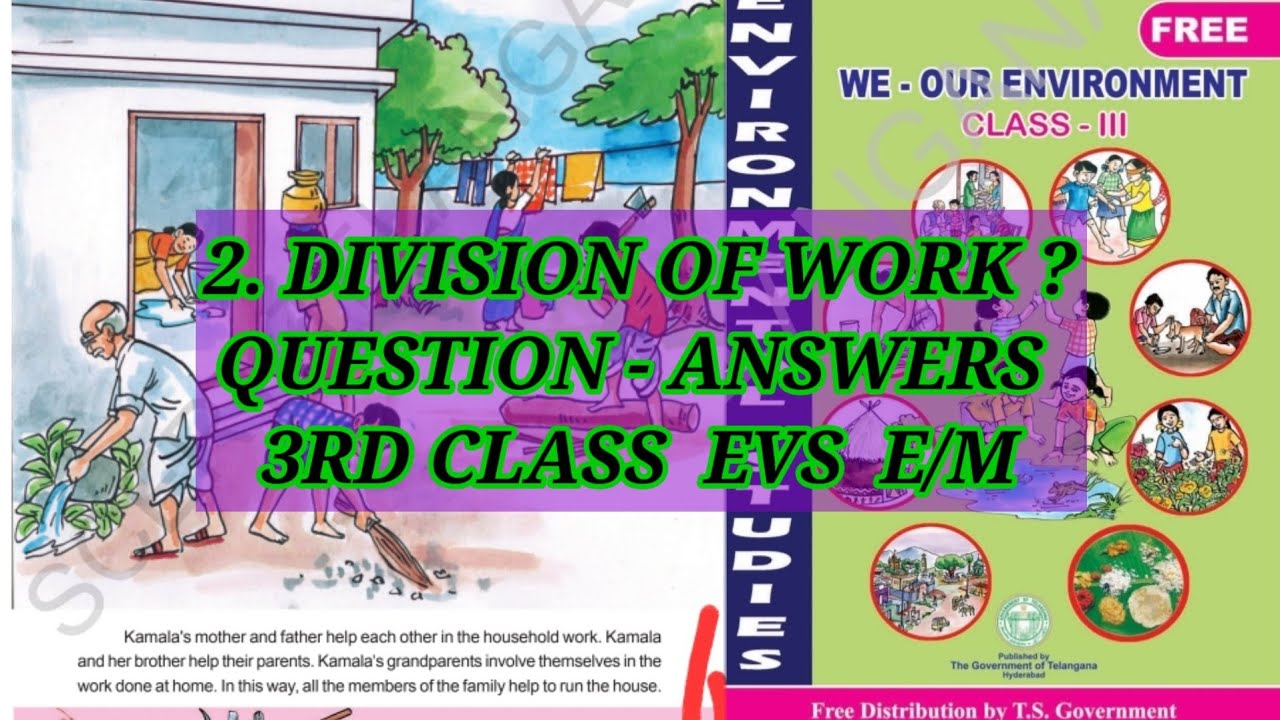 3rd Class EVS Unit 2 Division of works Question ANSWERS || Division of ...