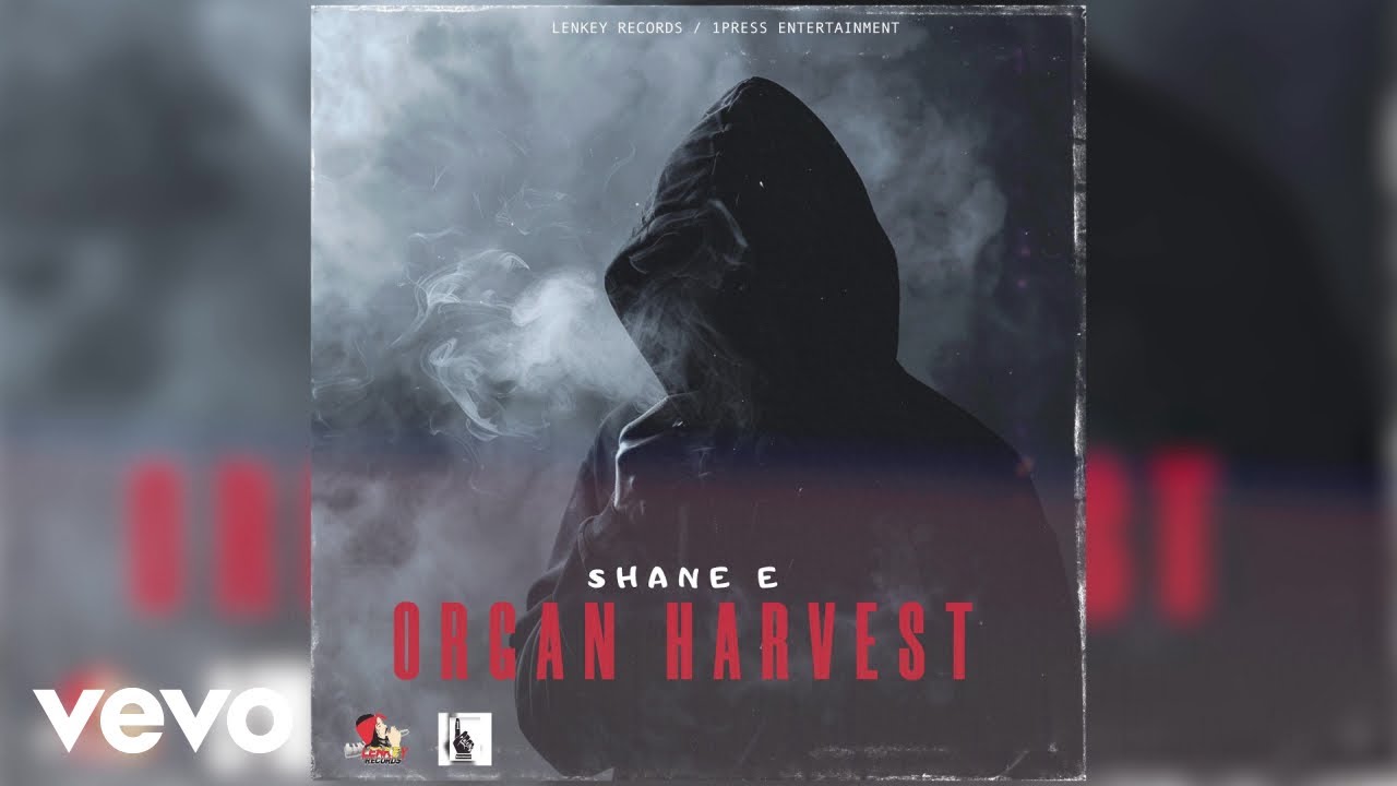 Shane e - Organ Harvest | Official Audio - YouTube