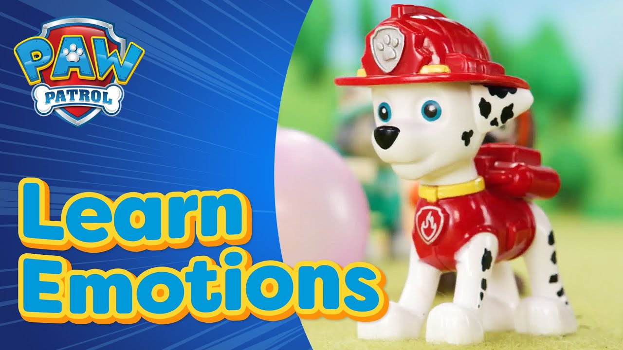 Learning Emotions with PAW Patrol! | Learning Videos for Toddlers ...