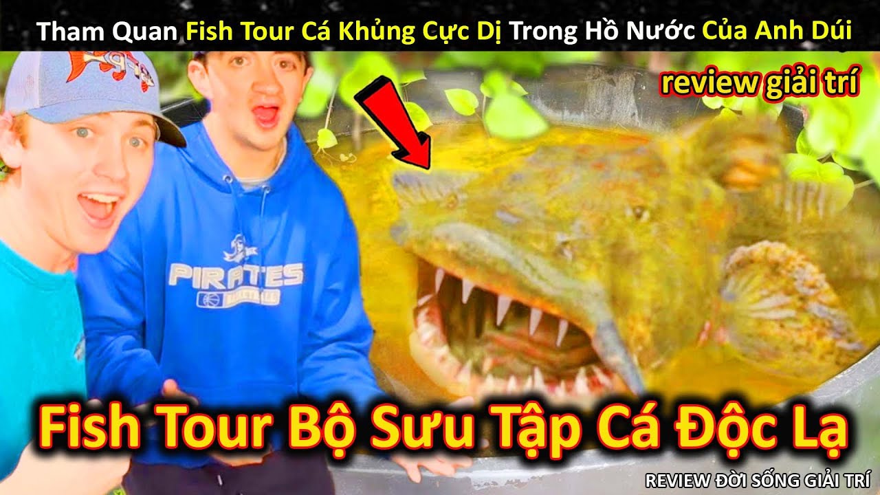 Khám Phá Fish Tour Toàn Cá Khủng Cực Lạ Trong Bộ Sưu Tập Siêu Giàu ...