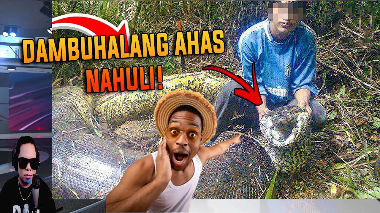ACTUAL VIDEO DAMBUHALANG AHAS SA BOHOL (REACTION AND COMMENT) - YouTube