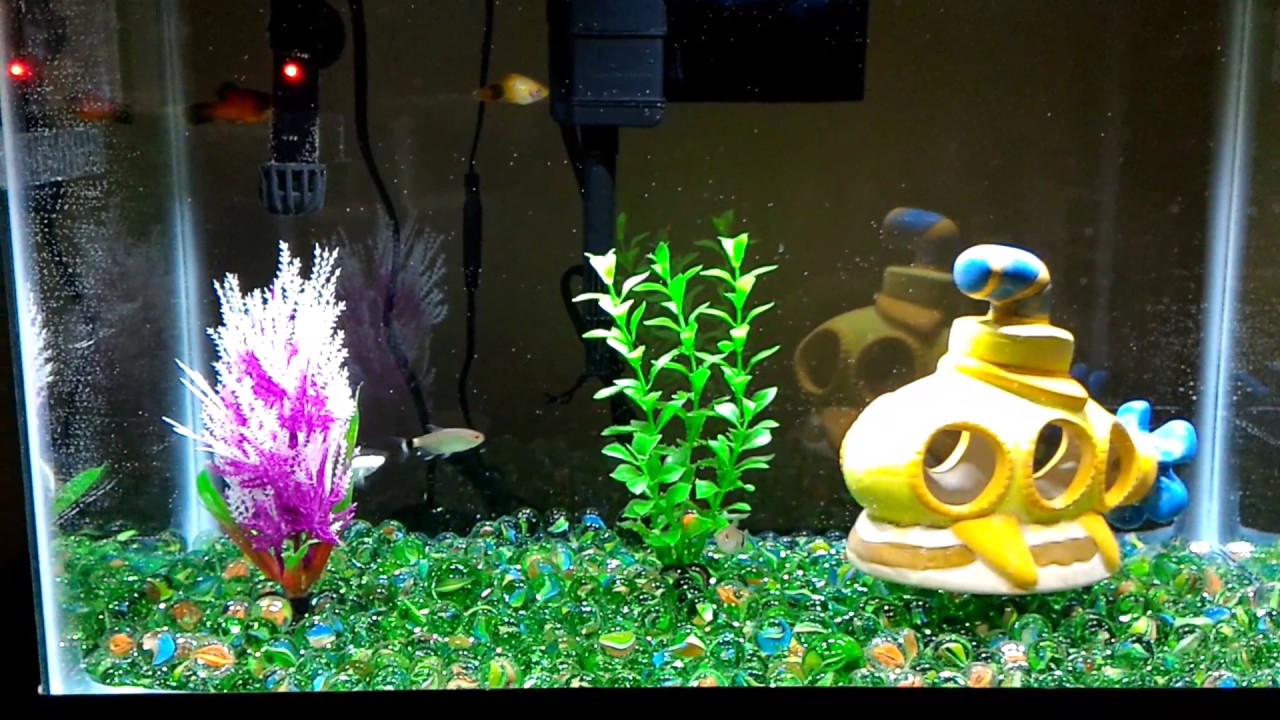Fish tank with colorful fishes and marbles and other accessories - YouTube