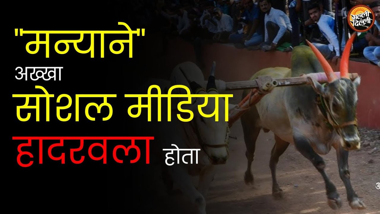 "मन्याच्या" बारीसाठी अख्खा घाट वाट बघायचा...! | Manya Bail RIP ...