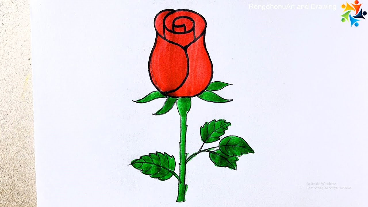 How to draw Rose 🥀 Golap Ful Drawing 🌷 Painting 💖 - YouTube