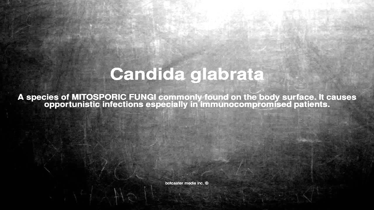 Medical vocabulary: What does Candida glabrata mean - YouTube