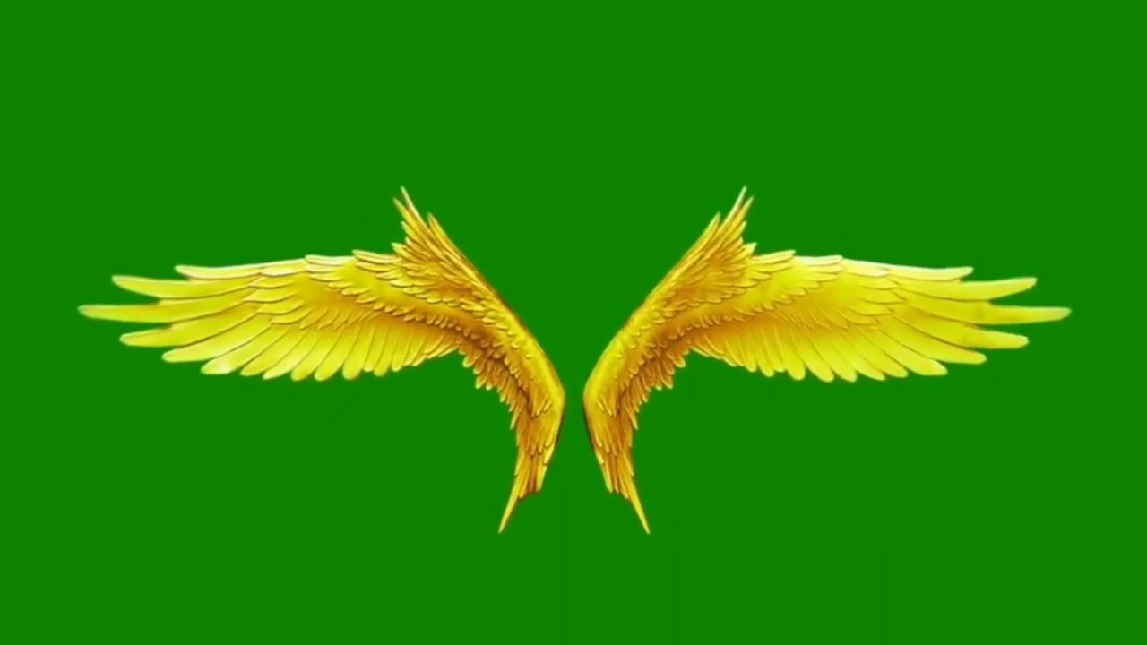 Angel wings green screen background - YouTube