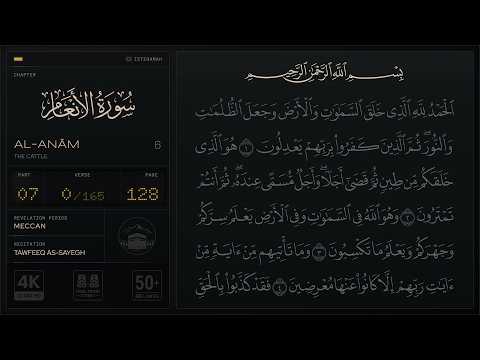 Surah Al-An'am — الأنعام — Tawfeeq As-Sayegh — Quran Recitation 006