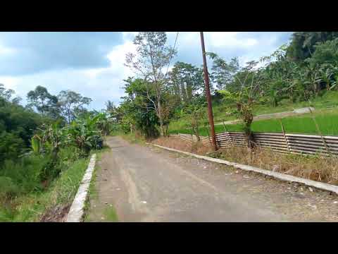 #Di jual tanah pinggir kali luas 3 hektar ss AJB RP 150 ribu / meter 