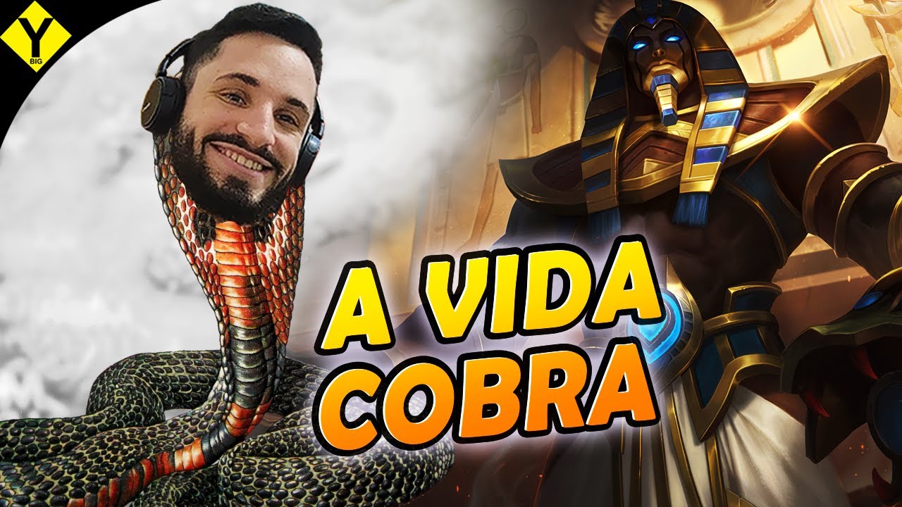 ROUBOU O MEU BUFF LEVEL 1? A VIDA COBRA | Mobile Legends - YouTube
