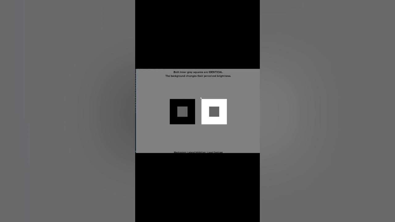 Optical Illusions You Can Code in Python! - YouTube