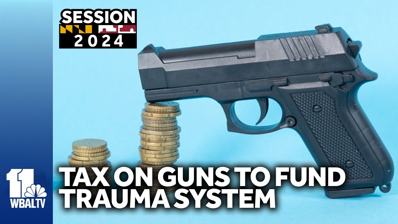 Bill would tax gun companies, shops, dealers - YouTube