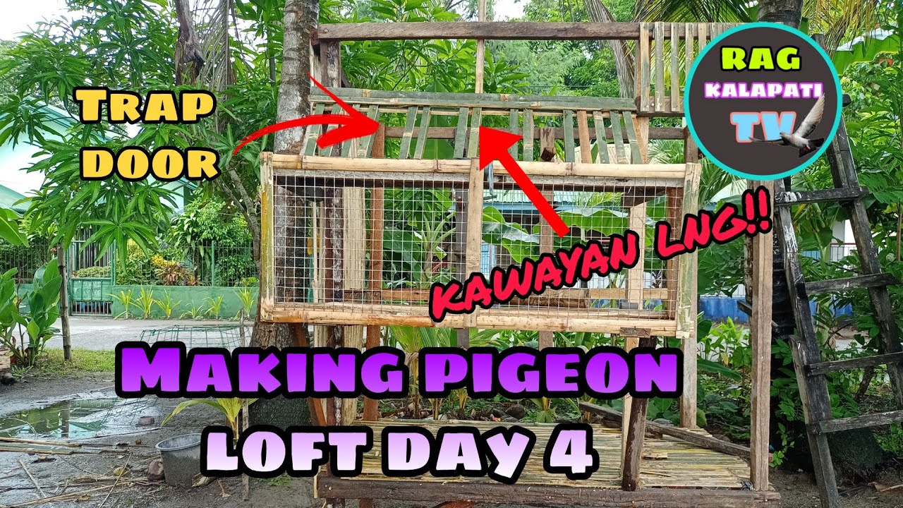 Pag gawa ng loft sa kalapati |Day 4 - YouTube