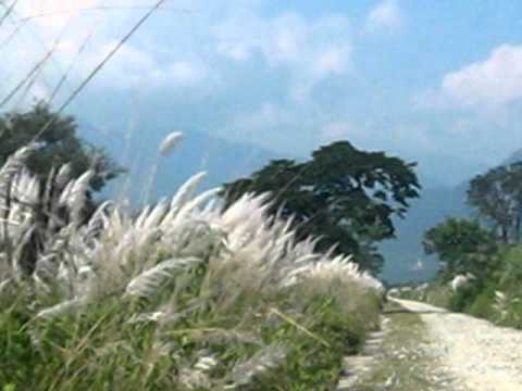 Kash Phool - YouTube