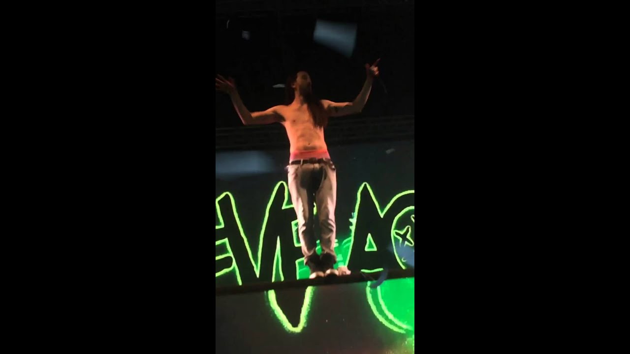 Steve Aoki Garden Rave 2015 - YouTube