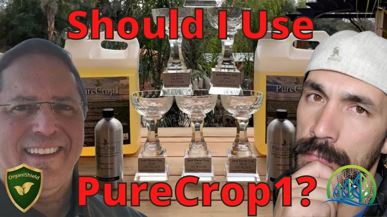 What is Purecrop1 an insecticide or fungicide spray? - YouTube