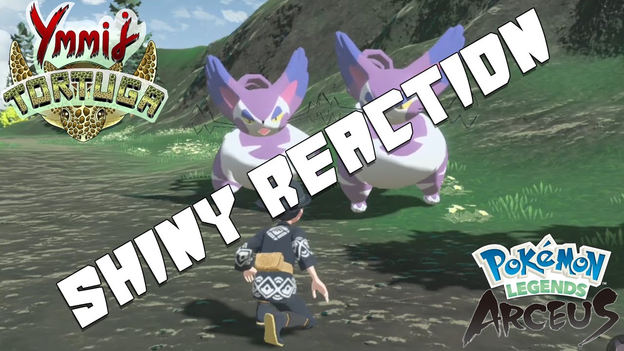 Shiny Alpha Purugly 2 - YouTube
