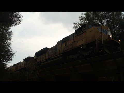 Ex SP! UP #8595 leads a WB UP manifest out of Livonia, Louisiana!!! - YouTube