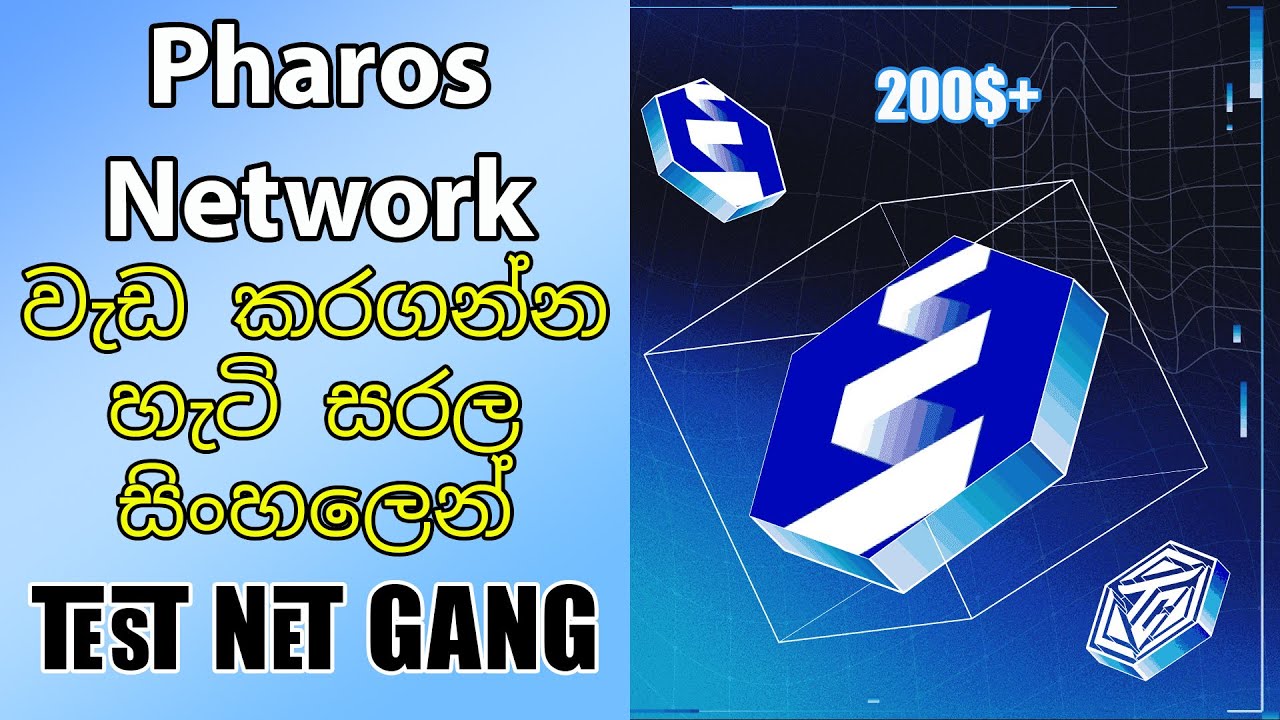 Pharos Network එකේ වැඩ කරන හැටි සරල සිංහලෙන් - Test Net Gang - YouTube