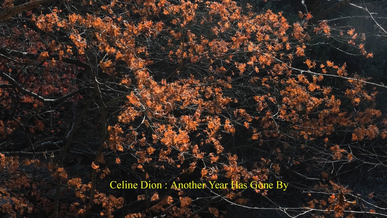 Celine Dion : Another Year Has Gone By - YouTube