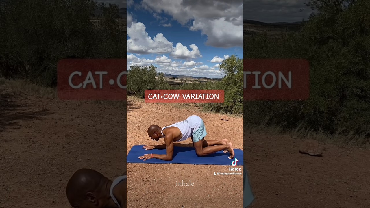 CAT/COW Variation #catcow#catcowpose#catcowstretch#spinemobility# ...
