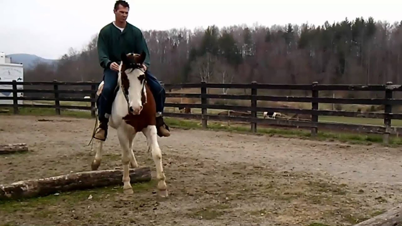 SHADOW RIDGE STABLES - YORK'S WHISKEY RIVER - YouTube