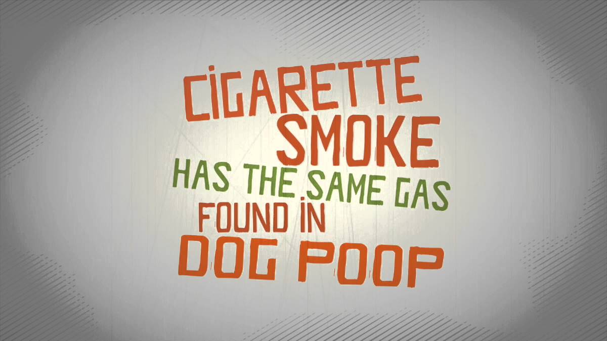 Are Cigarettes Made Out Of Dog Poop And Cat Pee