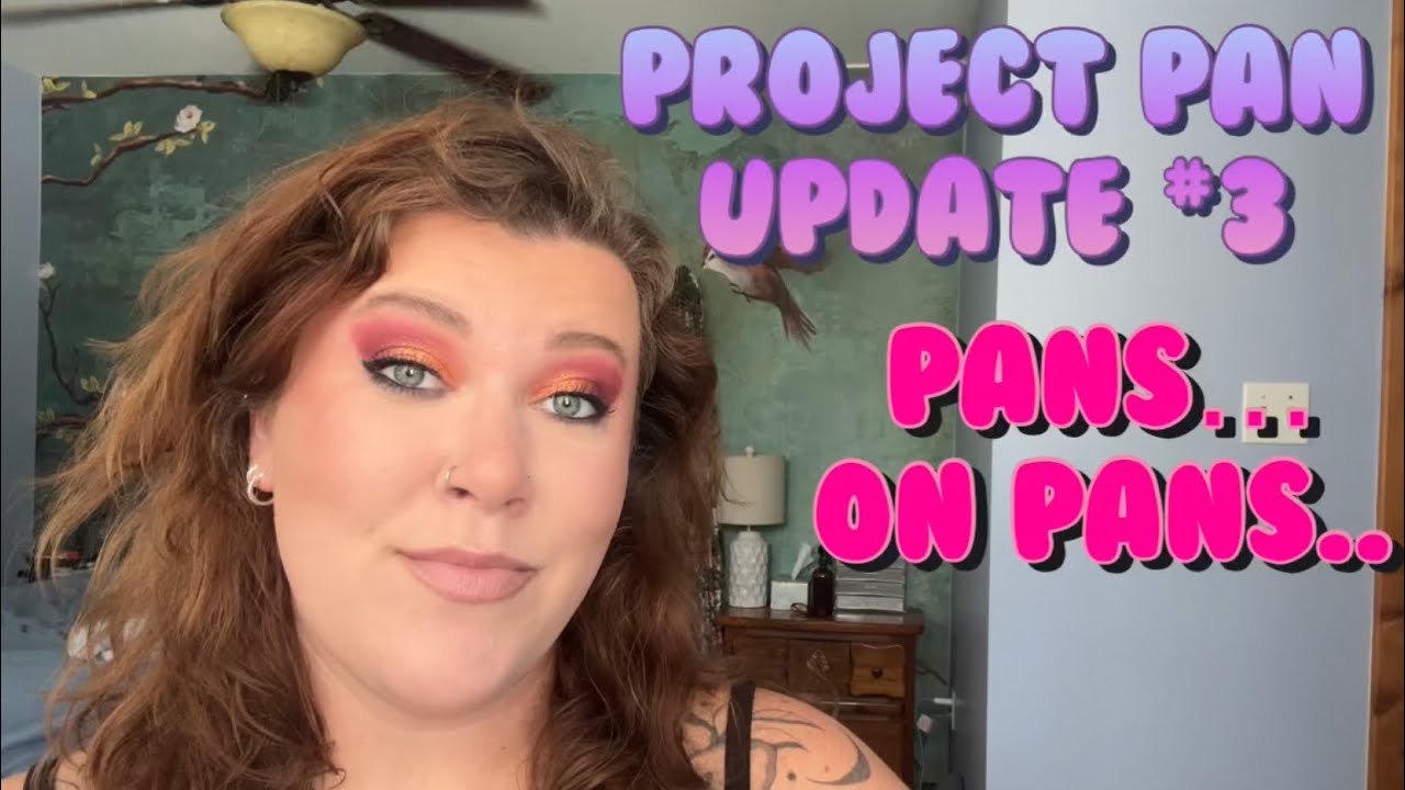 PROJECT PAN UPDATES ~ Tons of pans! - YouTube