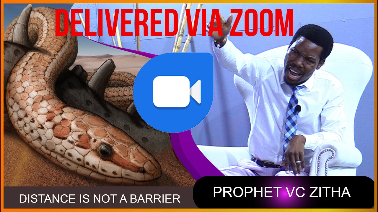 SNAKE COMES OUT VIA ZOOM MEETING | DISTANCE IS NOT A BARRIER - YouTube
