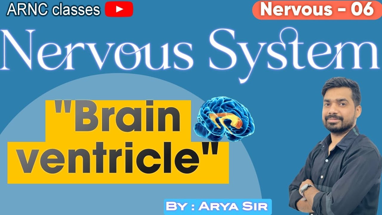 Nervous System | Brain Ventricles | Lecture -6 | Arya Sir - YouTube