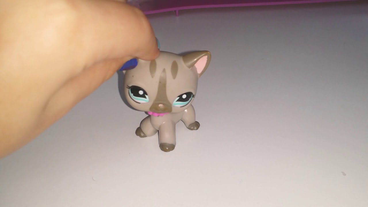 Unboxing birthday LPS?! - YouTube