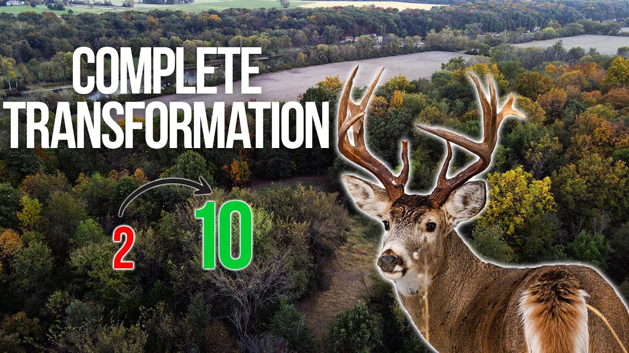 How Long Does It Take to Overhaul Habitat For Whitetail Land? - Greg ...