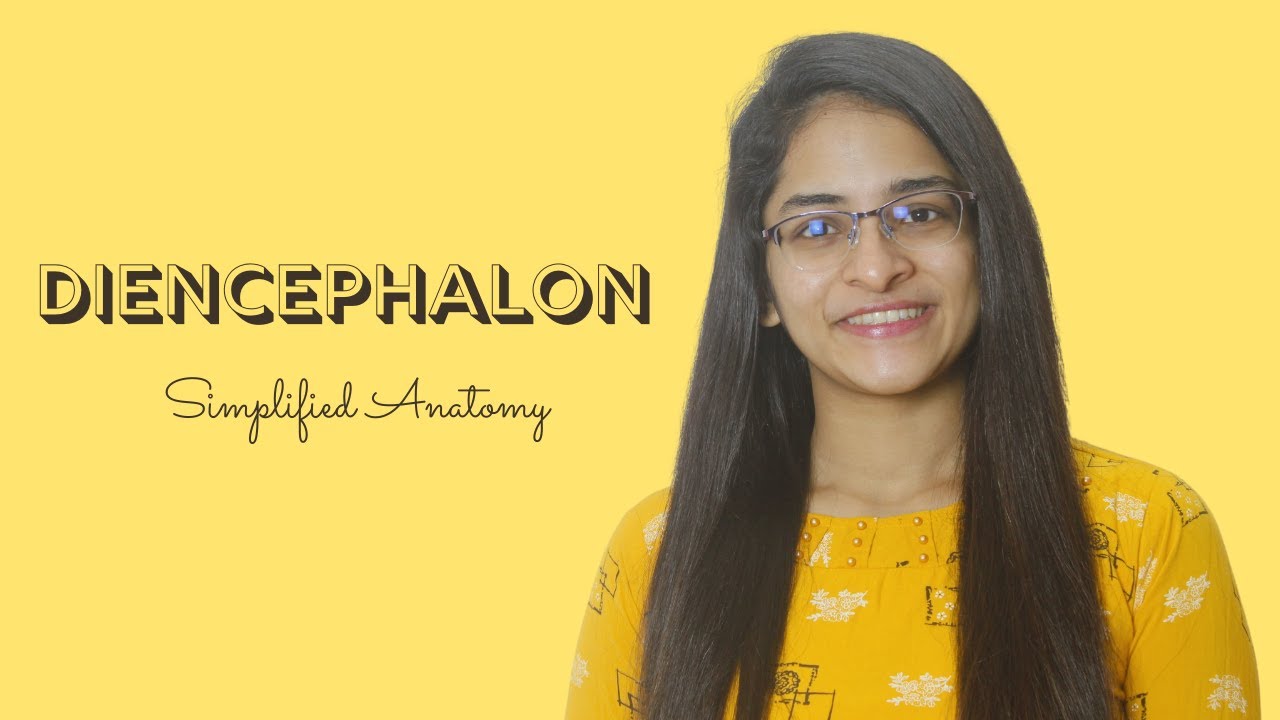 Diencephalon Anatomy Simplified Youtube
