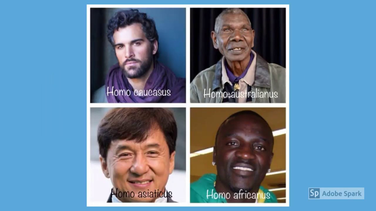 The Four Subspecies of Homo sapiens - YouTube